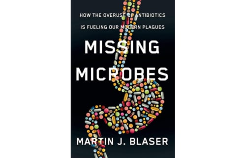 Why is your microbiome important? - CancerChoices